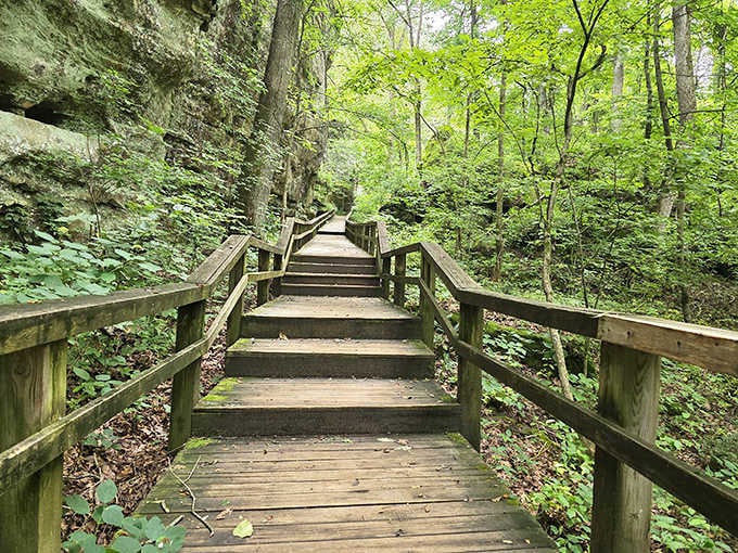 Wooden stairs climbing through a canyon of green. Every step upward earns you a better view.