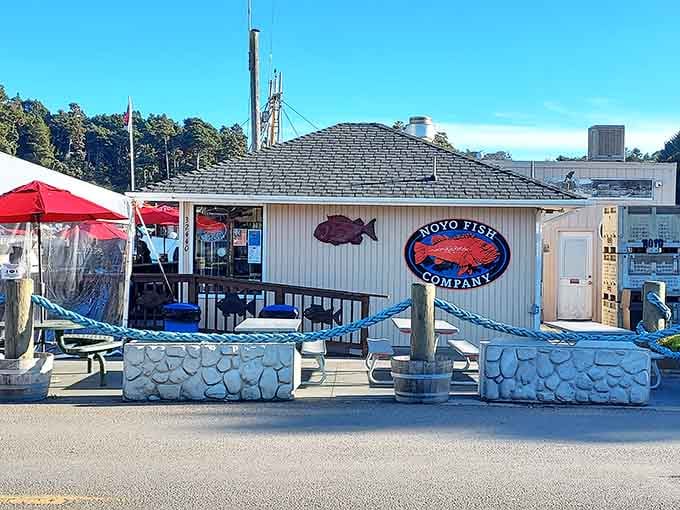Noyo Fish Company keeps it simple: fresh seafood, harbor views, and picnic tables that feel like the best seat in town.