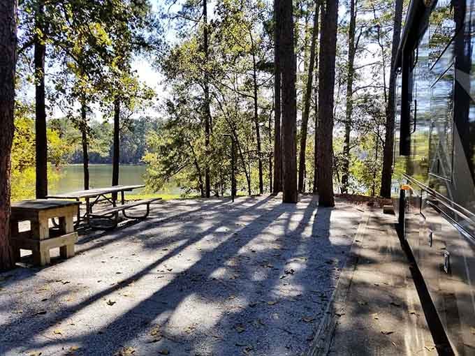 A picnic table, towering pines, lake views, and zero emails. This campsite is basically a prescription for happiness.