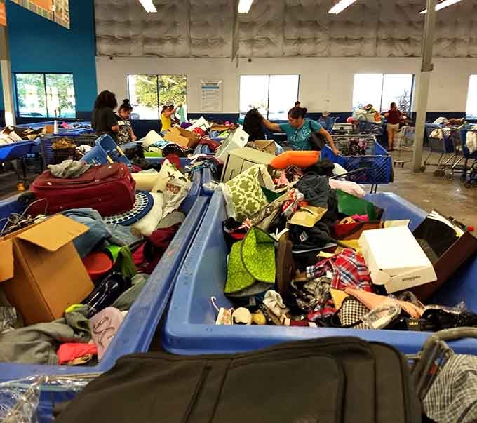 Focused, determined, and completely in the zone, these shoppers treat every bin like a potential jackpot.