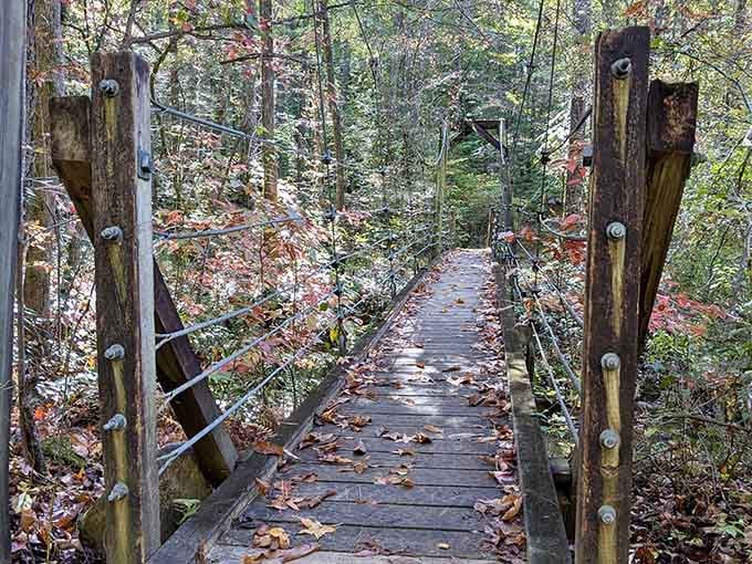 This suspension bridge is basically nature's way of saying, "Trust the process, the view is worth it."