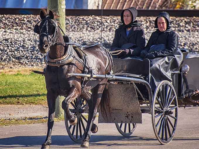 Two passengers, one horse, zero traffic apps needed. Grabill commuting looks surprisingly peaceful.