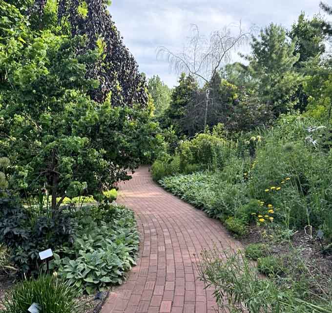 A red brick path curving into green mystery is basically nature's way of saying, "Trust me on this one."