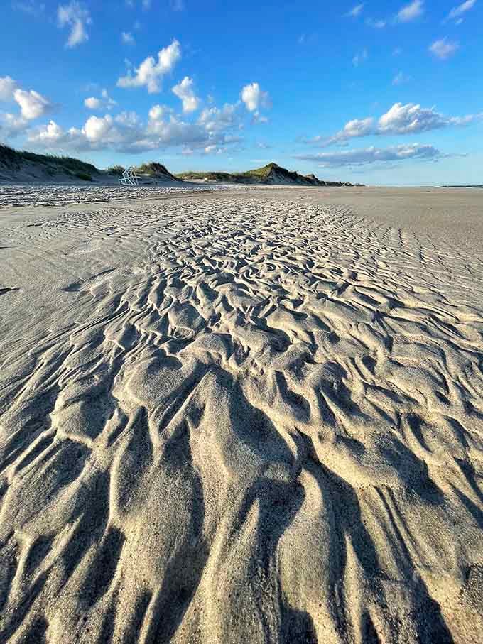 Wind and tide create natural art installations that would make any gallery curator weep with envy and inadequacy.