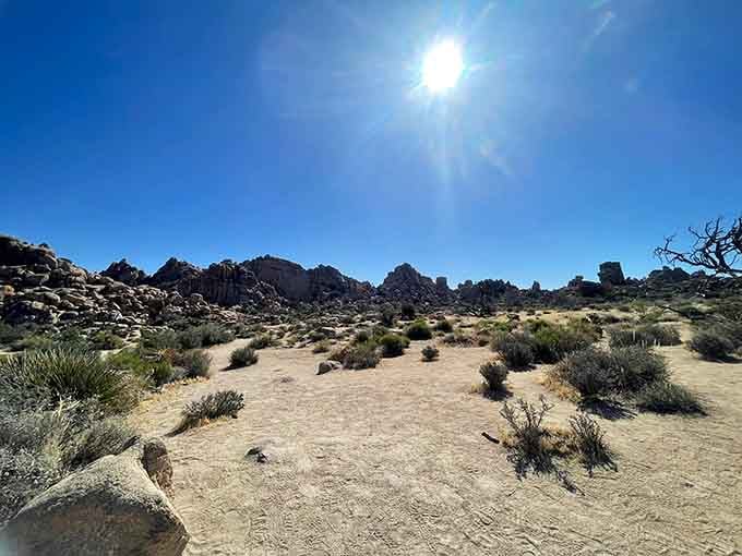 Wide open desert vistas remind you that California's got more tricks up its sleeve than you realized.