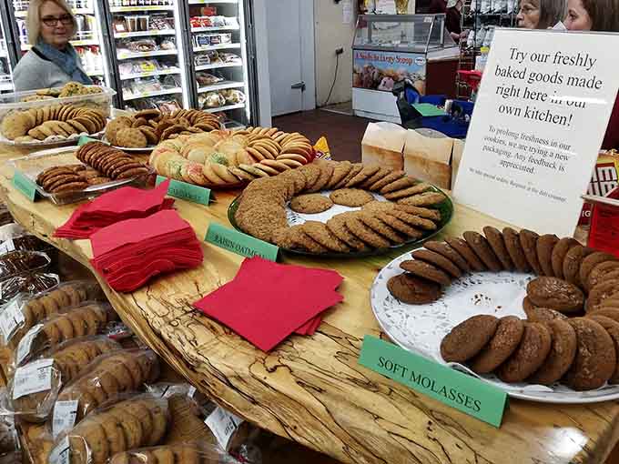 Soft molasses cookies arranged in perfect circles, proving that sometimes the simple things are absolutely worth celebrating.