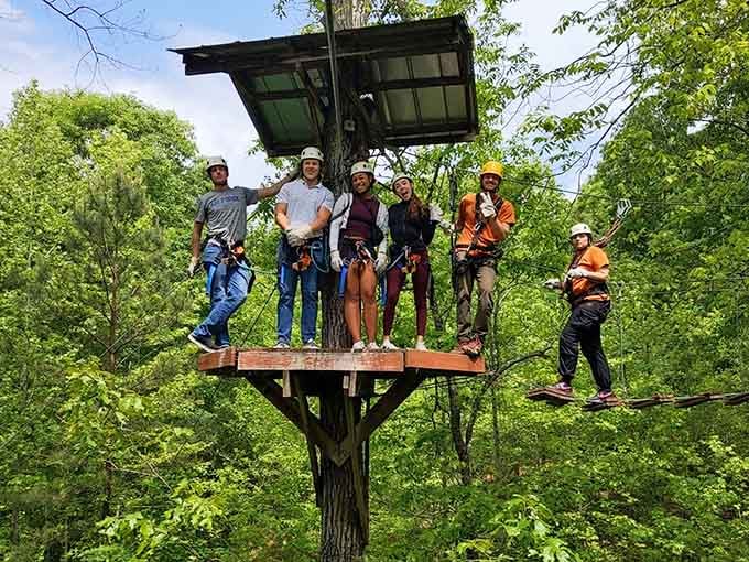 A group of friends perched high on a tree platform, grinning like they own the whole forest.
