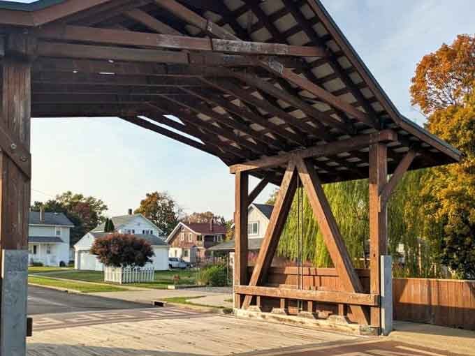 Sunny skies, warm wood, and a bench that practically begs you to sit down and stay a while.