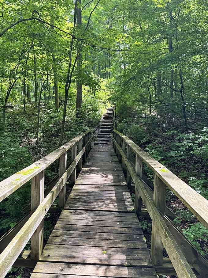 This wooden trail bridge leads somewhere wonderful, and your legs will absolutely know it afterward.