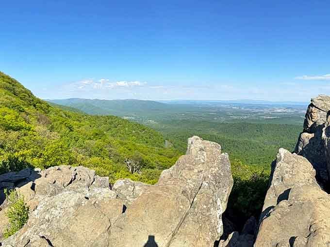 Standing on these rocks feels like you've discovered Virginia's best-kept secret, except thousands of happy hikers already know.