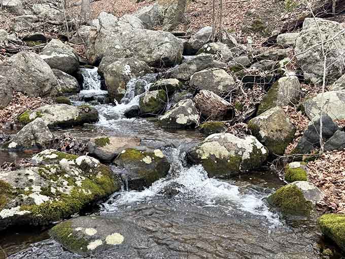 A cascading stream tumbling over mossy rocks. This is the original white noise machine, and it's spectacular.