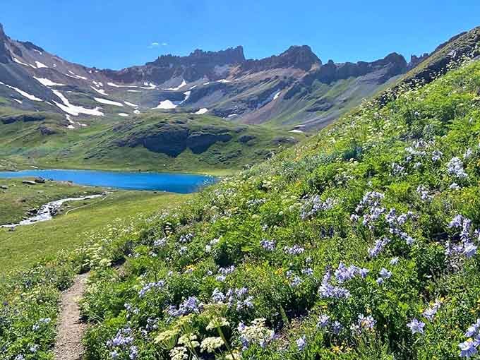 A carpet of purple wildflowers spills down the hillside toward that impossibly blue water, and honestly, no filter could improve this.
