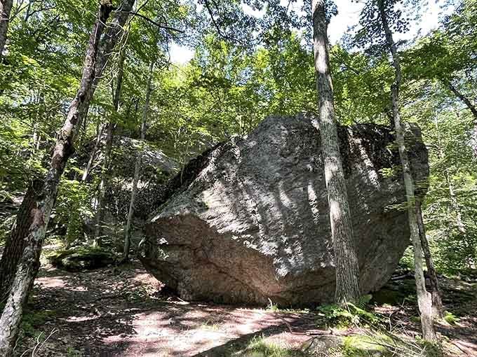This boulder has been sitting in these Connecticut woods longer than anyone can remember. It's earned its spot.