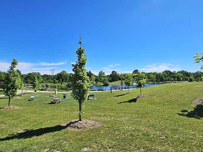 Open green spaces where children run free and parents remember what actual relaxation feels like.