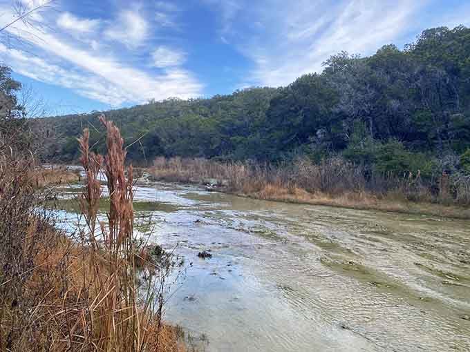 Barton Creek in winter has a quiet drama to it. Like a good book with no ending.