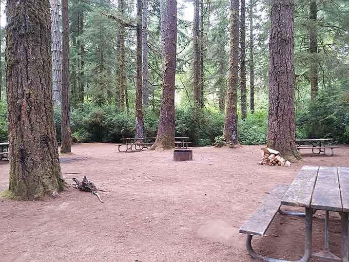 Tall trees, a fire ring, and a picnic table. The Pacific Northwest campsite of your dreams, right here.