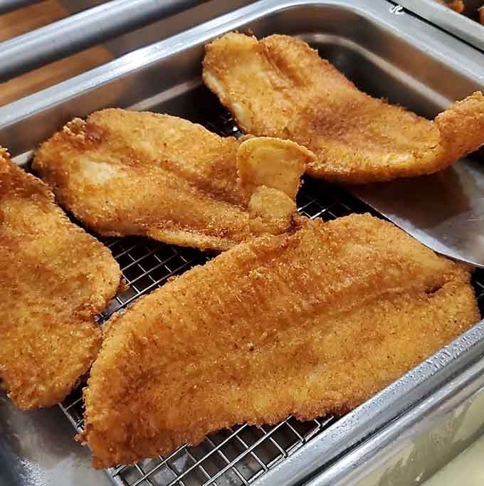 That golden crust on the fried fish is the kind of thing that makes you rethink your lunch plans entirely.