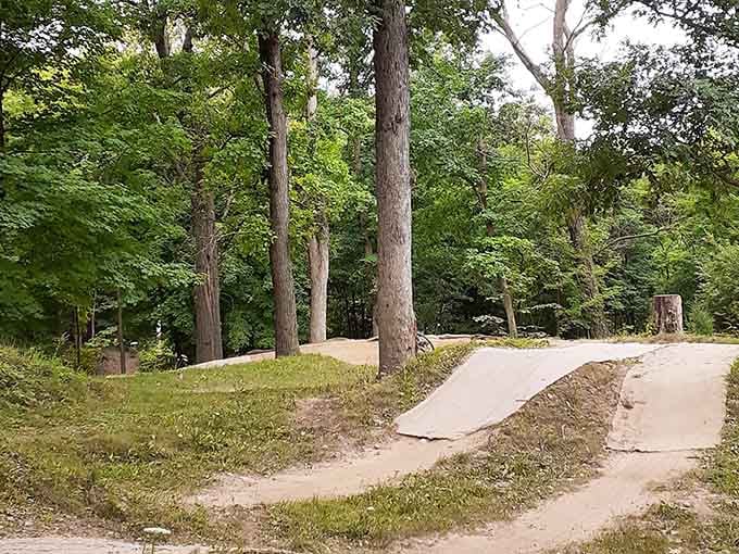 Smooth dirt jumps tucked between the trees, because nature and good trail design make excellent roommates.