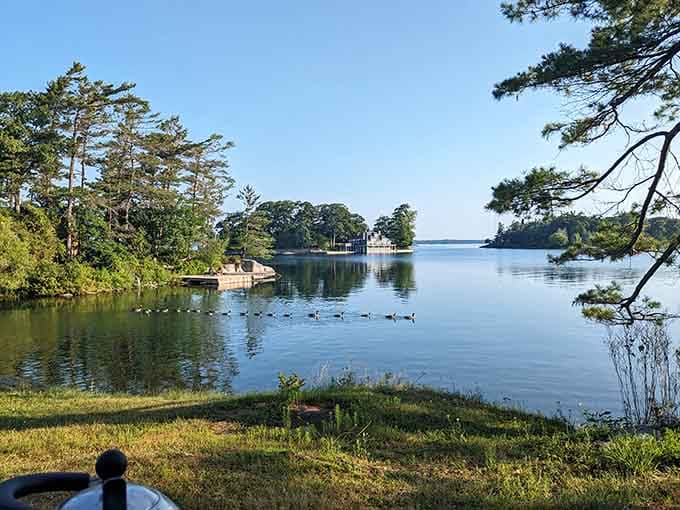 A glassy morning on the St. Lawrence, a lineup of geese cruising past, and a campfire ring waiting patiently nearby. Life is good.