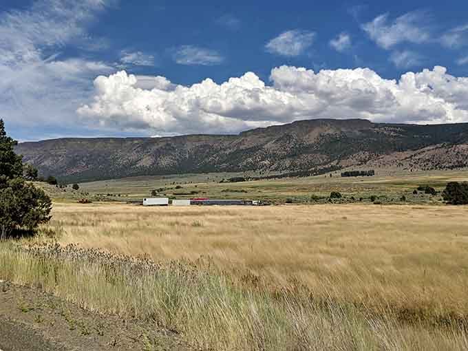 Golden grass, big sky, and open range, this is southeastern Oregon doing what it does best, absolutely nothing in a hurry.