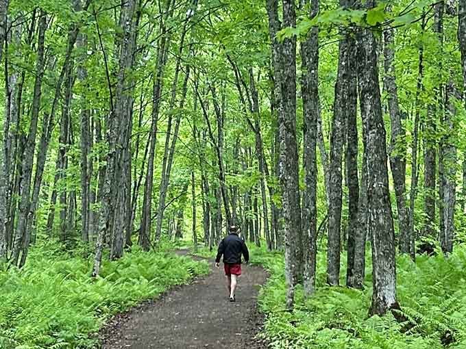 Walking this trail feels like stepping into a nature documentary, minus the dramatic narrator voice.