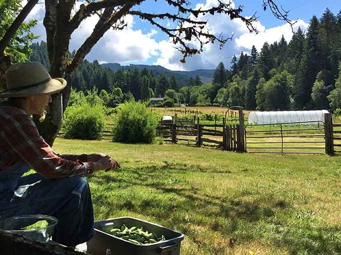 Sitting under a tree with fresh vegetables and a view like this? That's a good afternoon.