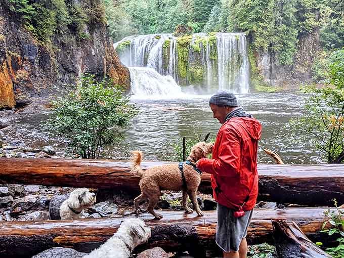 Even the pup knows this spot is worth the hike, though it's probably just happy to be outside.