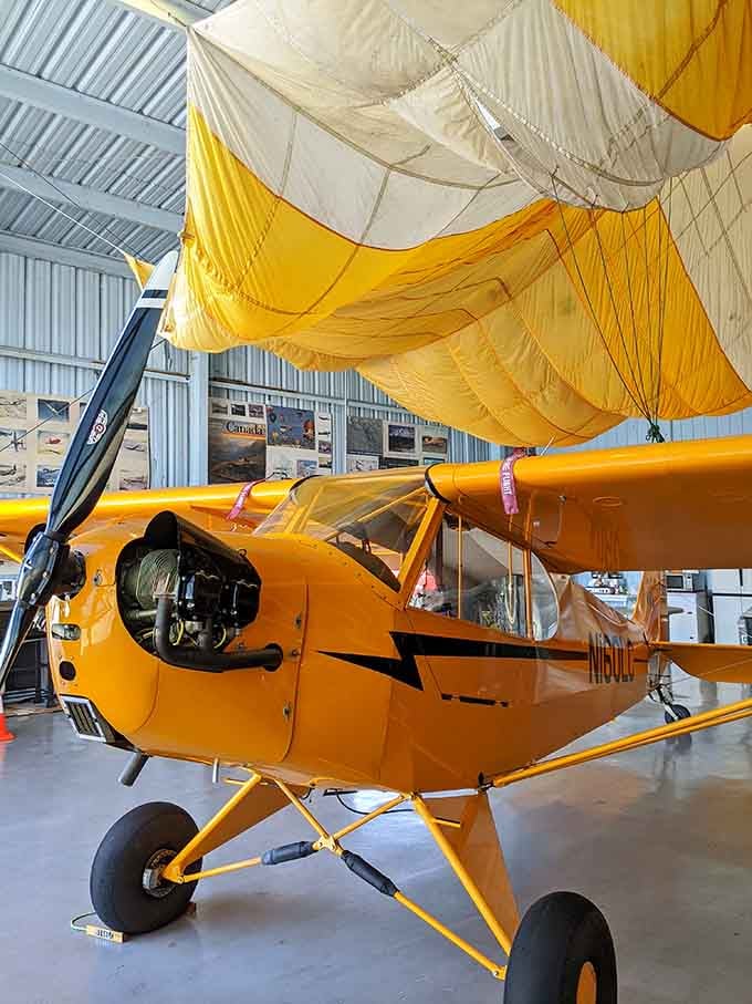 Bright as a school bus and twice as cheerful, this Piper Cub represents aviation's most accessible and beloved era.