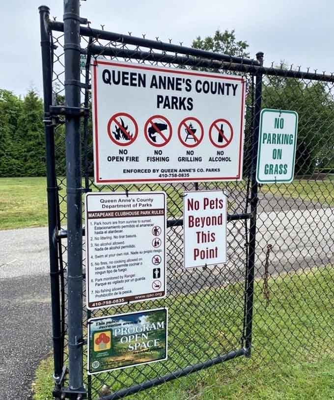 The rules are simple, the rewards are enormous. Matapeake keeps things refreshingly straightforward.