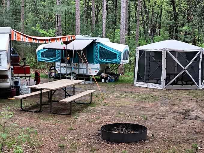 A pop-up camper, a fire ring, and tall pines overhead, honestly, this is the original five-star experience.