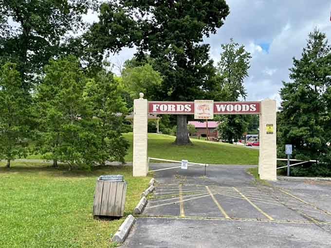 That Fords Woods Park entrance arch says come on in, the trees are absolutely magnificent today.