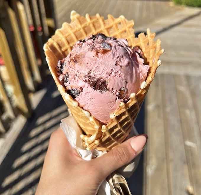That black cherry scoop in a golden waffle cone is basically northern Michigan in dessert form.