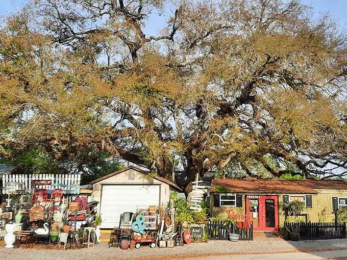A massive oak tree standing guard over colorful outdoor antiques &mdash; Fallen Barns has the most dramatic storefront backdrop imaginable.
