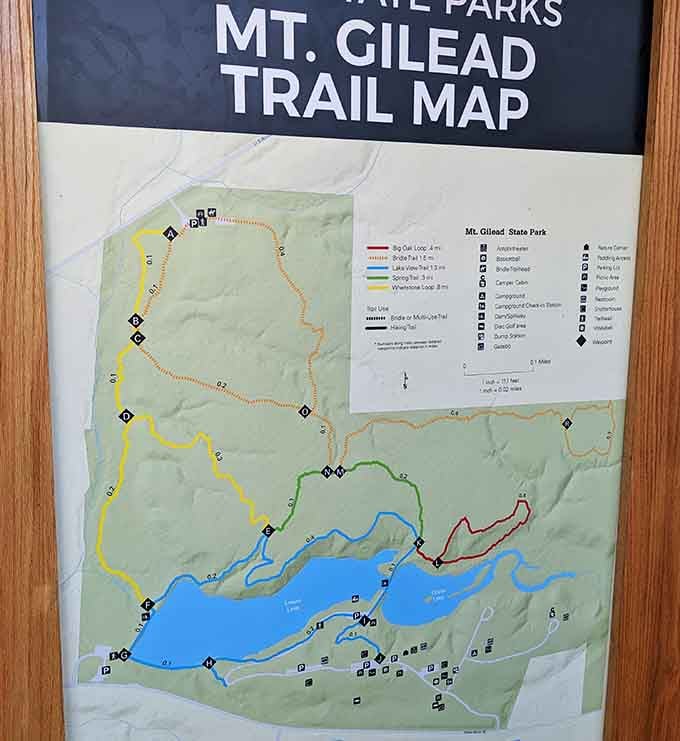 Four trails, one park, zero excuses. Mt. Gilead's trail map has something for every kind of adventurer.