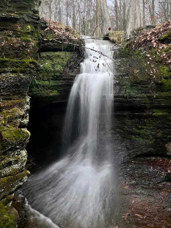A waterfall tucked between mossy gorge walls, quietly showing off in the most understated Ohio way possible.
