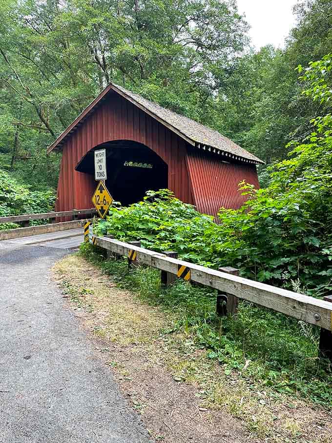 The lush greenery practically swallows this charming structure, creating a scene straight from a storybook.