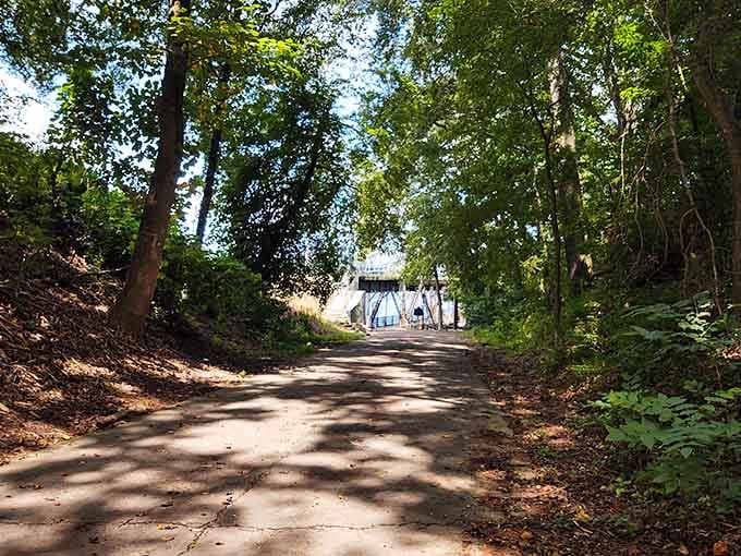 The tree-lined path leading to the bridge is nature's way of building anticipation before the main event.