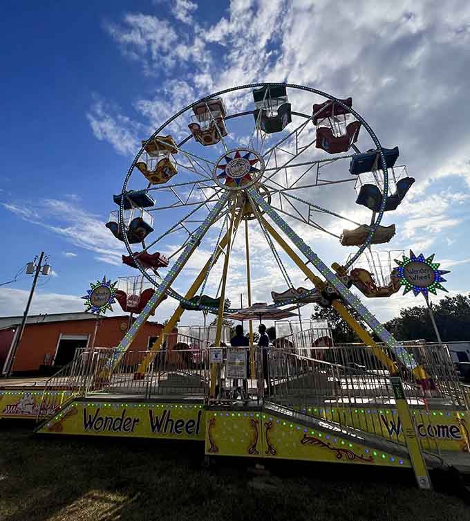 A Wonder Wheel against a South Carolina sky is proof that simple joy never really goes out of style.