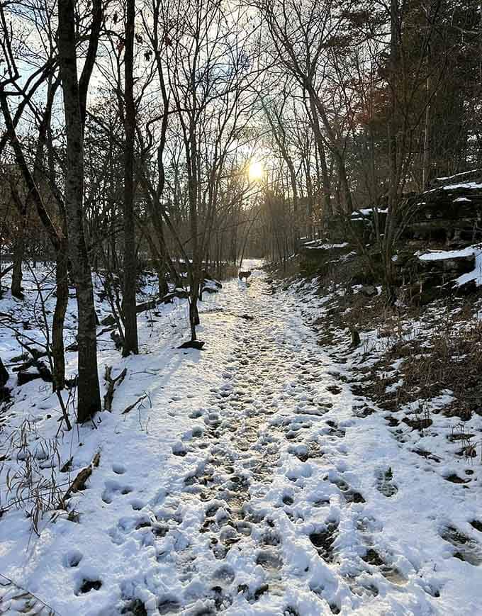 Snow-dusted and golden-lit, the trail in winter feels like stumbling into a scene from a classic holiday film.