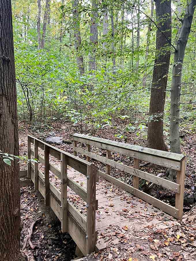 A footbridge that actually leads somewhere peaceful instead of just another parking lot.