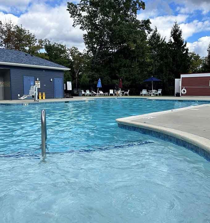 Crystal-clear pool water surrounded by trees, the kind of afternoon that fixes everything.