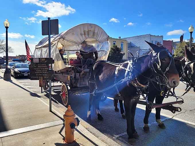 A covered wagon rolling through downtown Independence on a sunny day is not something you see coming. And yet, here we are.