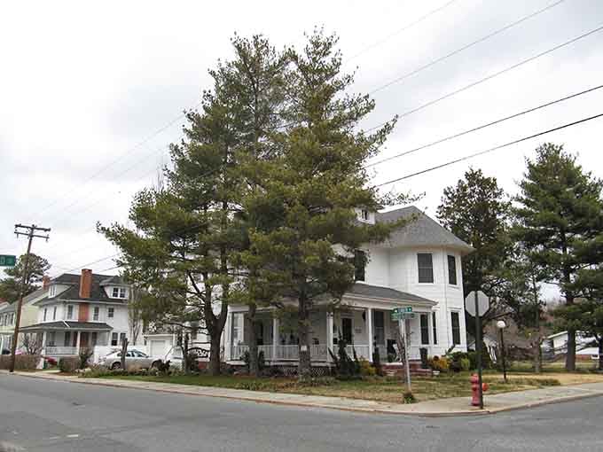 Tall pines standing guard over a classic white corner house, this is what "rooted in a community" actually looks like.