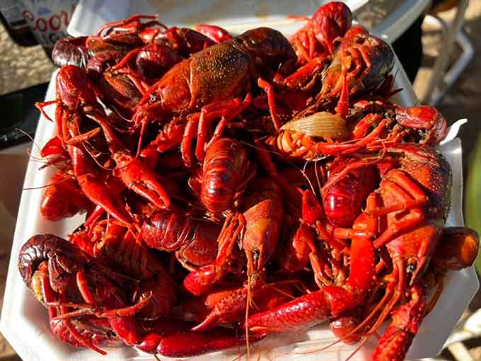 Crawfish so fresh and red they practically glow. Someone at Riley's clearly knows their way around a boil.