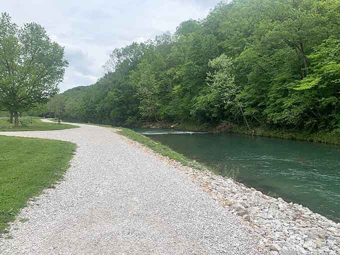 A gravel path, a glassy river, and absolutely nowhere else you need to be right now. Take your time.