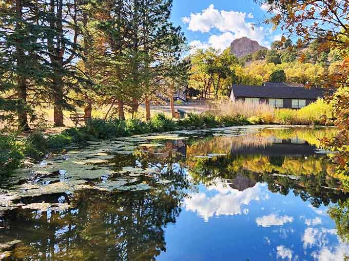 A pond so perfectly still and reflective, it looks like Colorado itself is showing off a little.