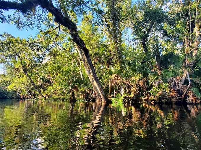 Sunlight dances on water so clear you'll wonder if someone installed a filter, but nope, this is just nature showing off.
