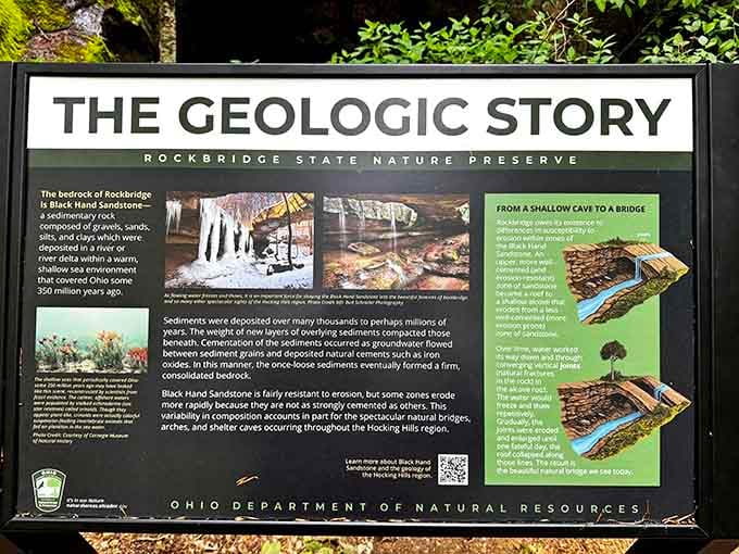 Three hundred and fifty million years of geological storytelling, condensed into one sign that honestly deserves more readers than most bestsellers.