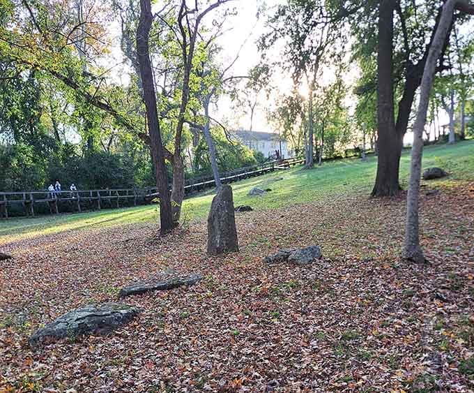 Fall leaves, scattered rocks, and a wooden bridge disappearing into the distance, East Texas doing what it does best.