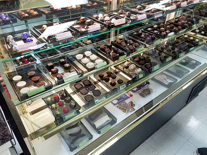 That glass display case holds more chocolate varieties than most people see in a lifetime, all lined up and waiting patiently.